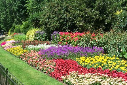 LACASA Garden Tour tickets now on sale for July 11 event – The ...