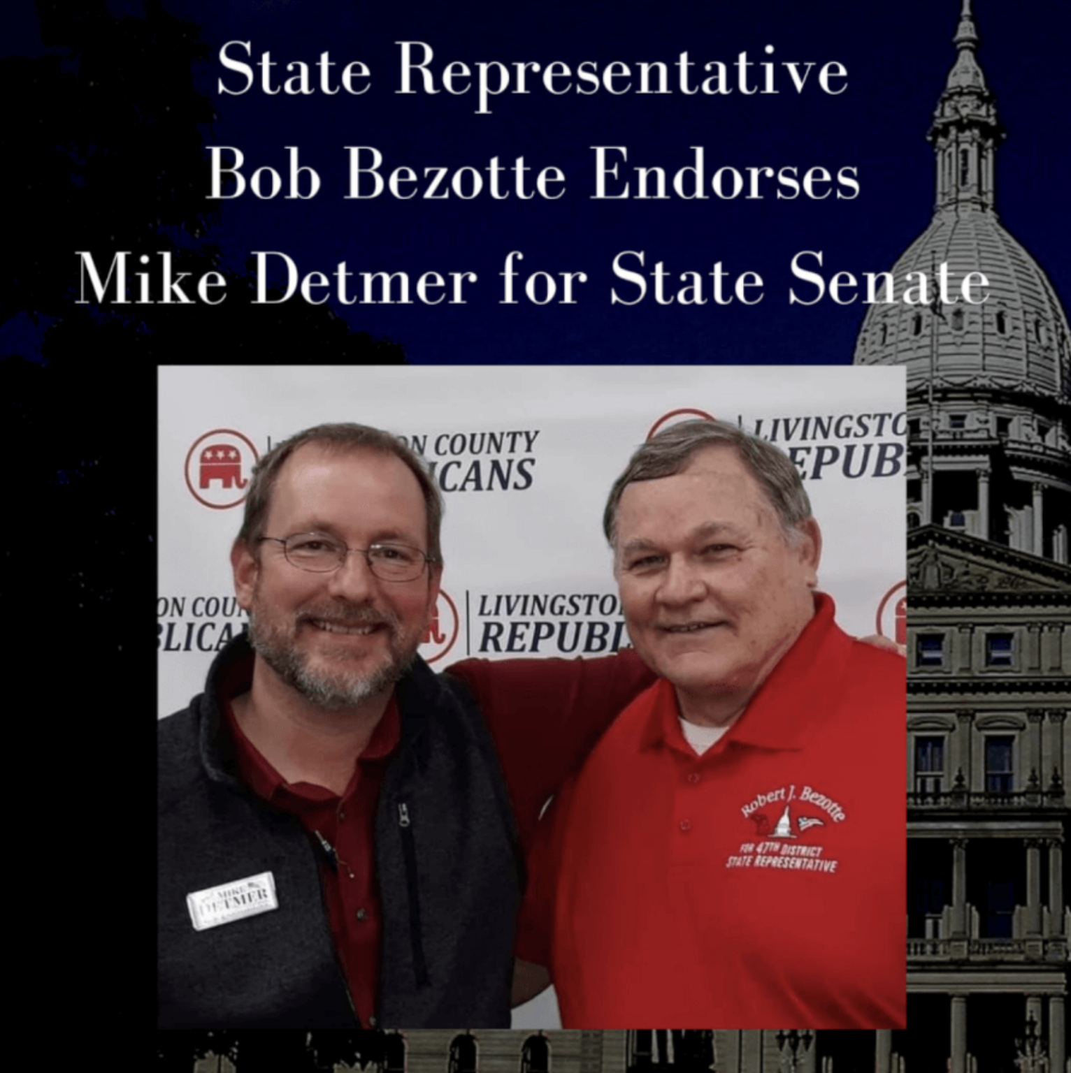 How worried is state Sen. Lana Theis about the August primary? – The ...